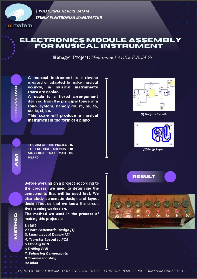 Pamer.in | Electronics Module Assembly for Musical Instrument